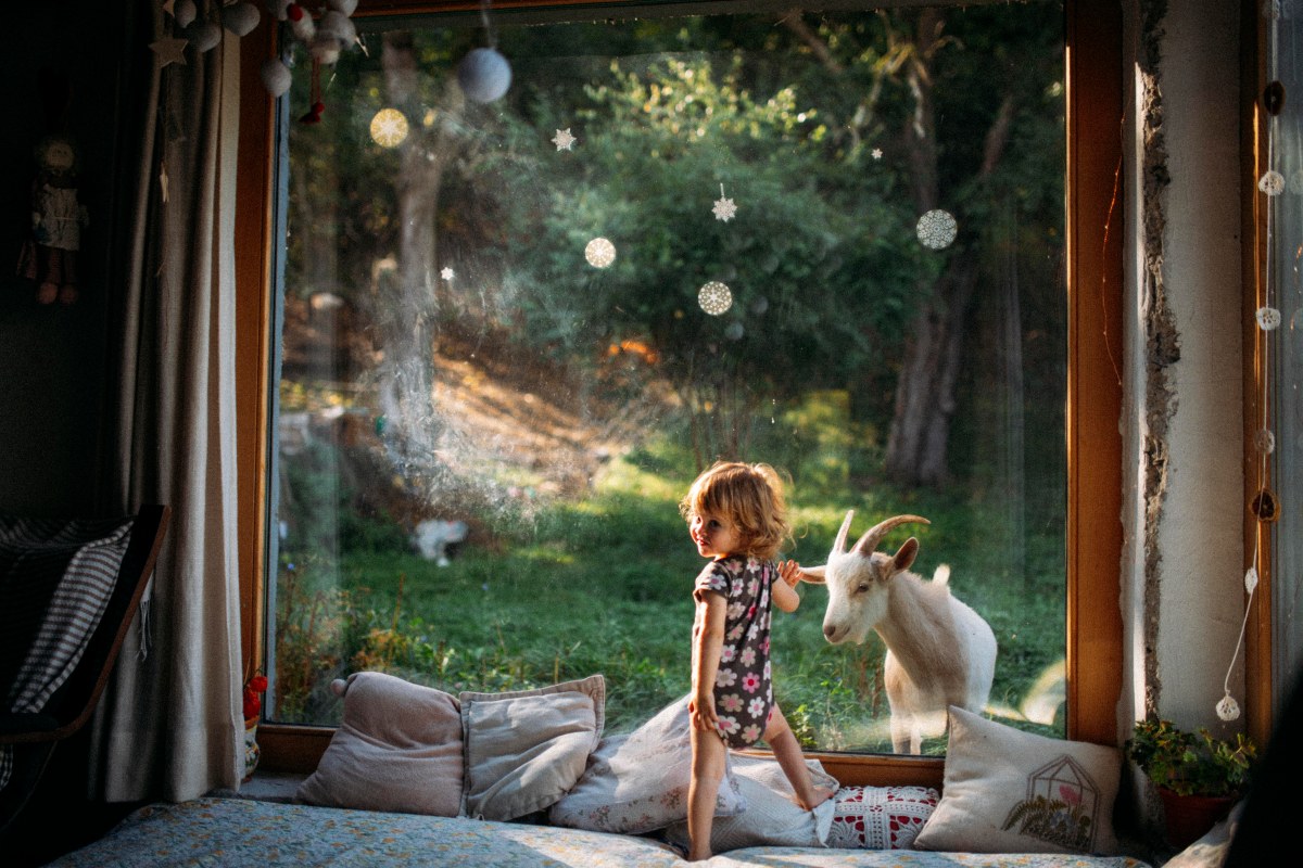 Rânduri la ceas de seară (2) – Andreea Stanciu